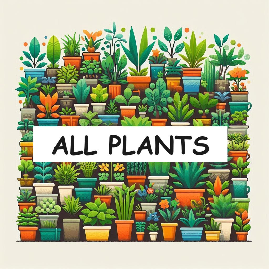 ALL PLANTS – IM Garden Mart