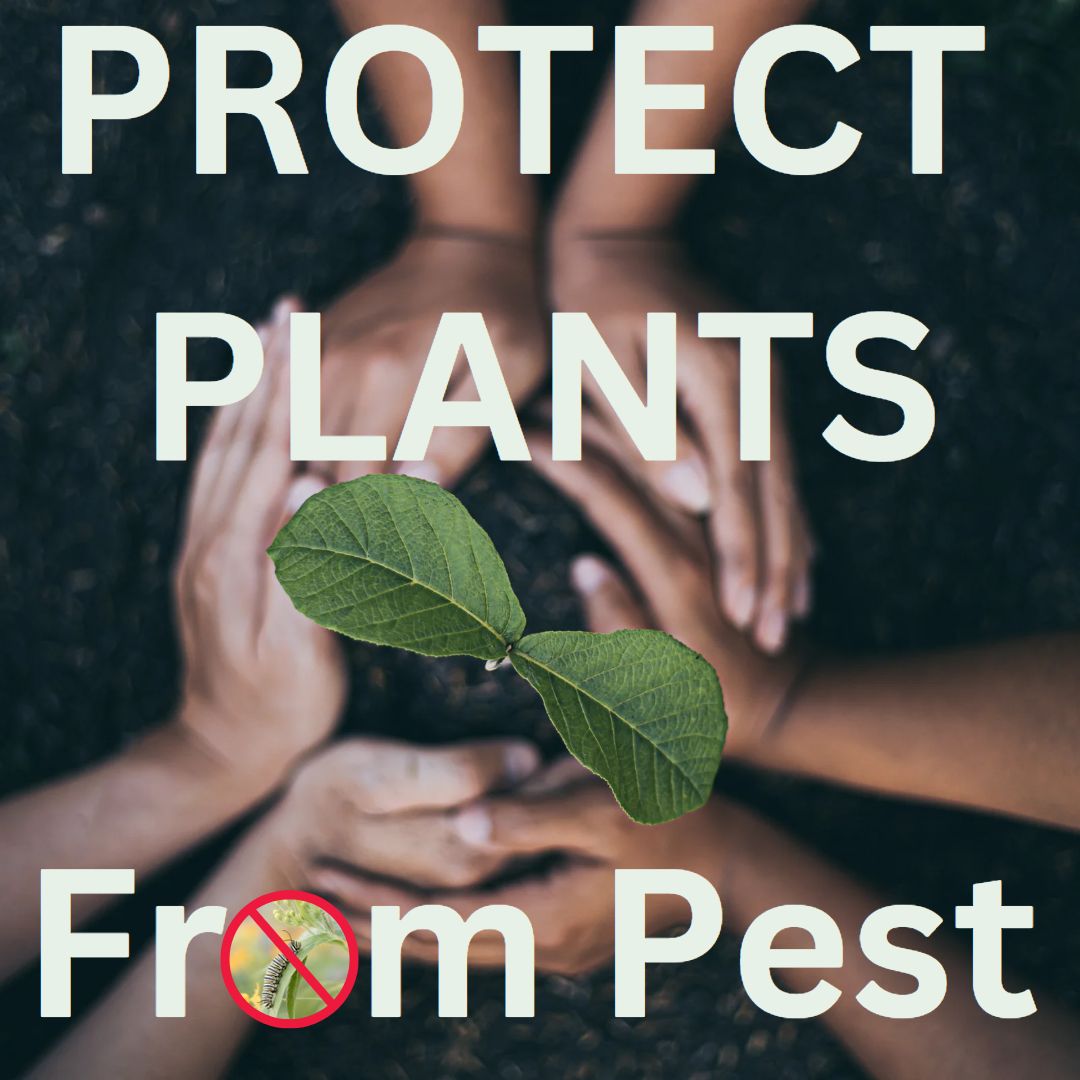 Plant Pest Control – IM Garden Mart