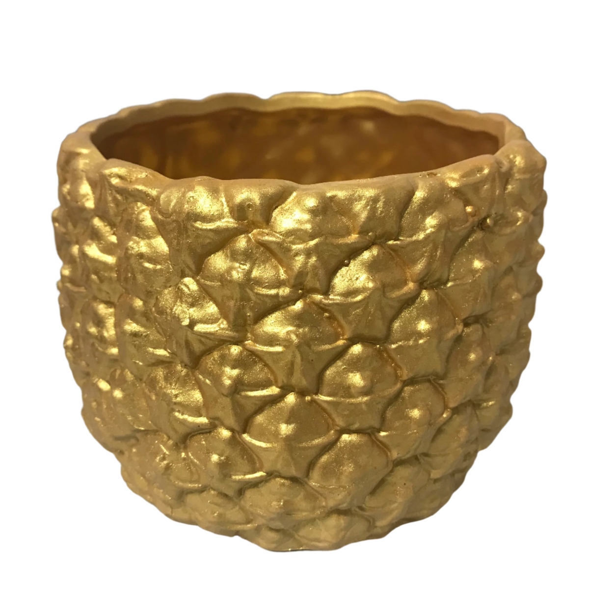 Gold Pineapple Ceramic pot with fortune word – IM Garden Mart