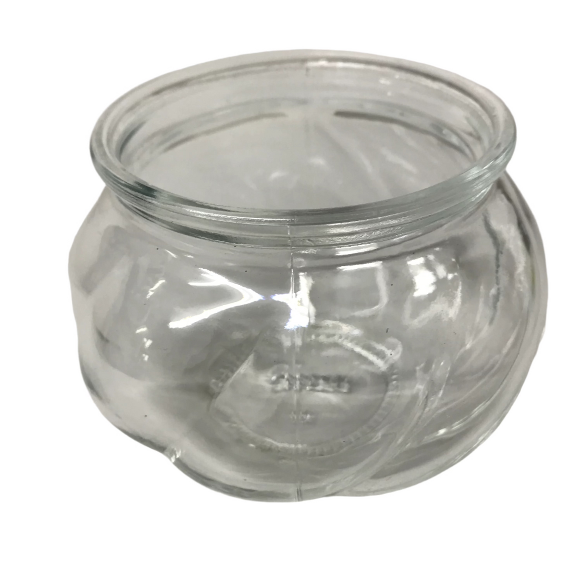 Glass Plant Pot – IM Garden Mart